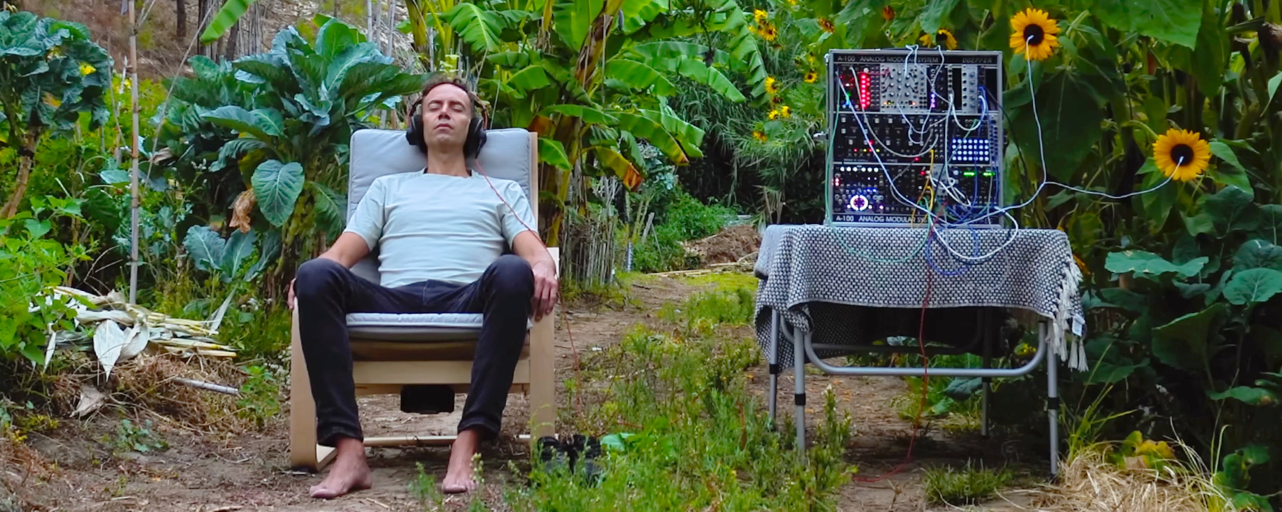 Bio Music Vibrations, 432Hz Healing Music & Plant Frequency Meditation